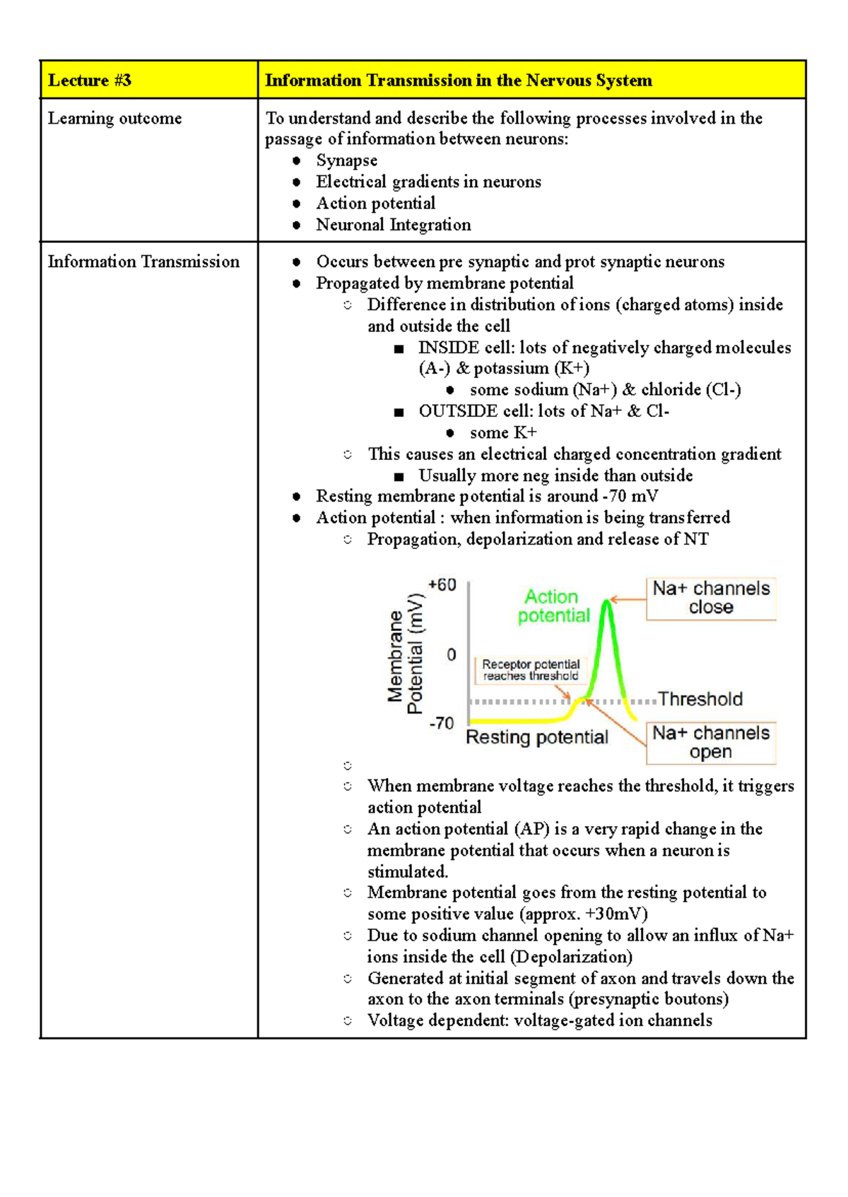 Kin 3020 - Lecture 3: Information Transmission in the Nervous System ...