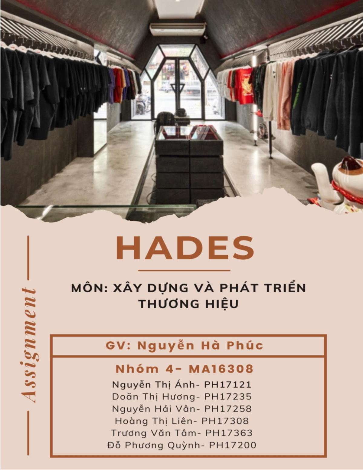 PRE208 Final Project: Brand Strategy Analysis of Hades Local Brand ...