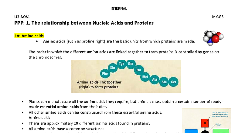The Relationship Between Nucleic Acids and Proteins - STU 2025 Study ...