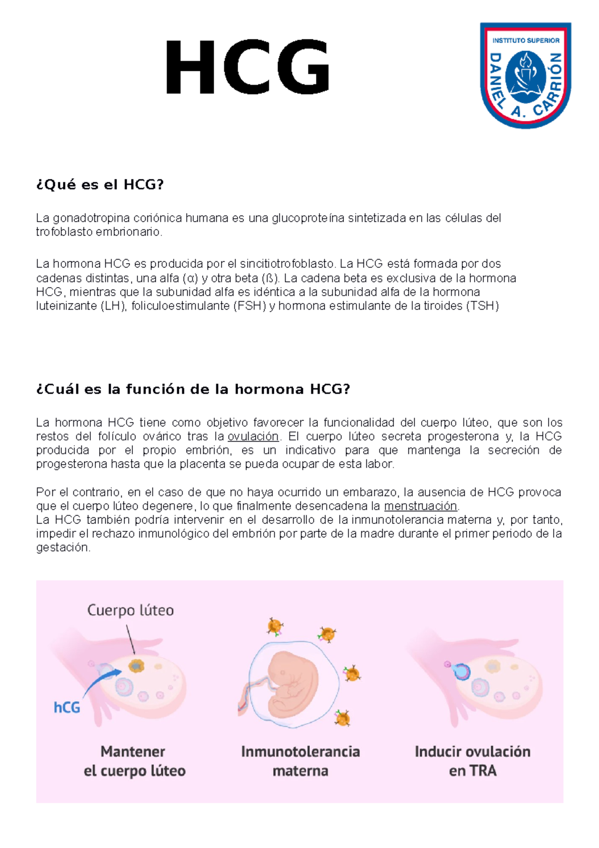 Qué es el HCG - Resumen del HCG - ¿Qué es el HCG? La gonadotropina ...
