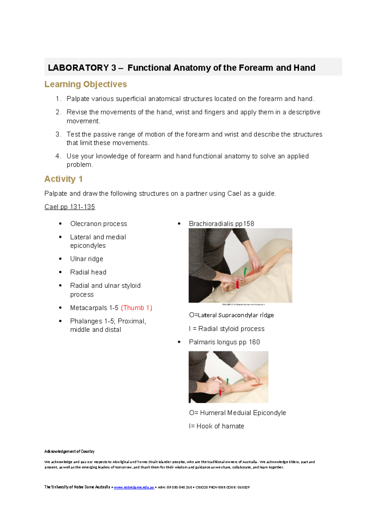 LAB 3: Functional Anatomy of the Forearm and Hand - Learning Objectives ...