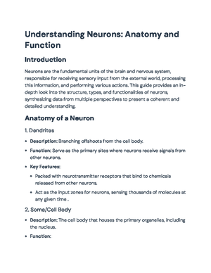 Nervous System Overview: Structure, Function, and Historical Insights ...
