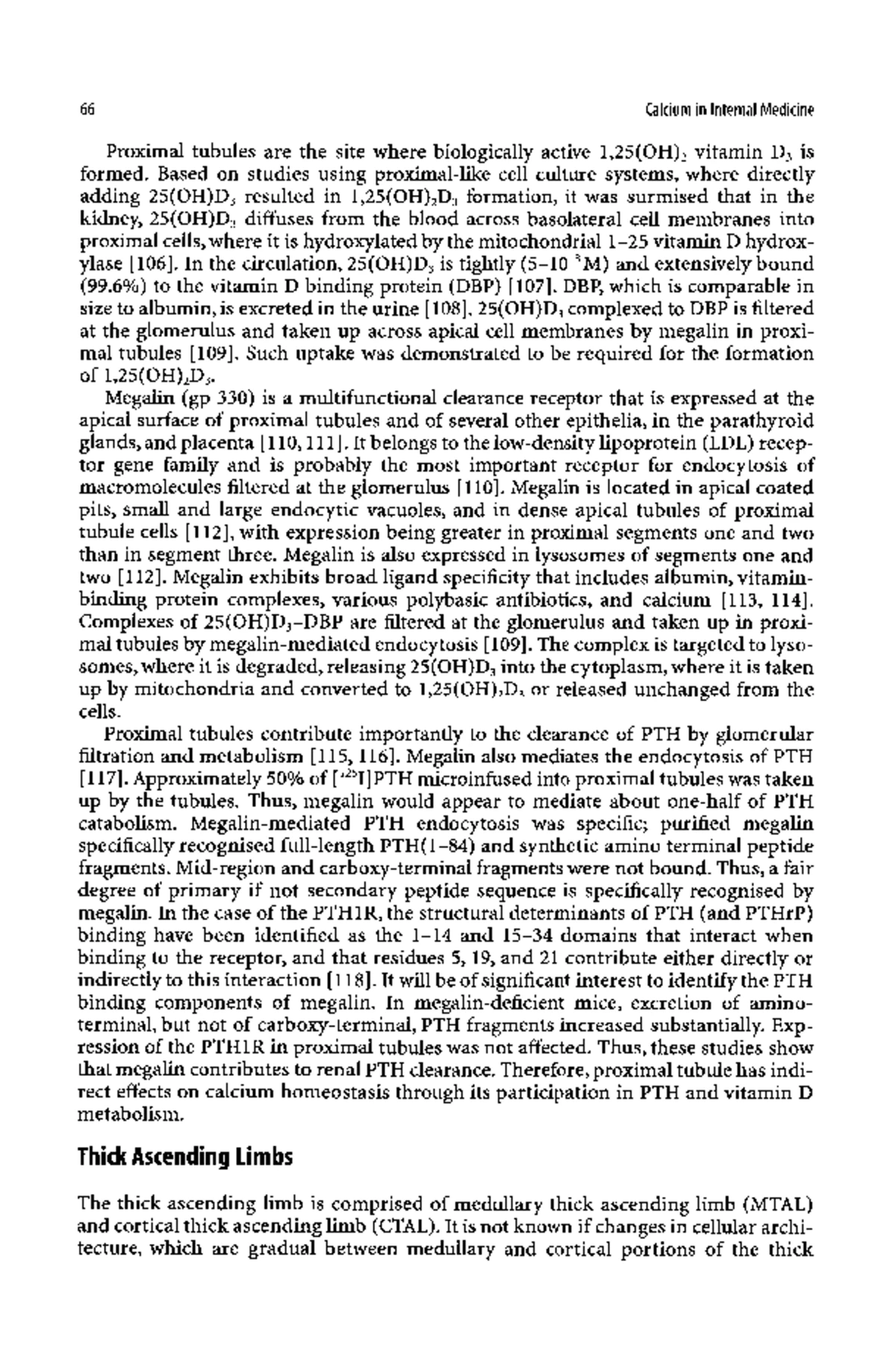 Rosary Prayers in Bisaya: Liturgical Texts and Mysteries - Studocu