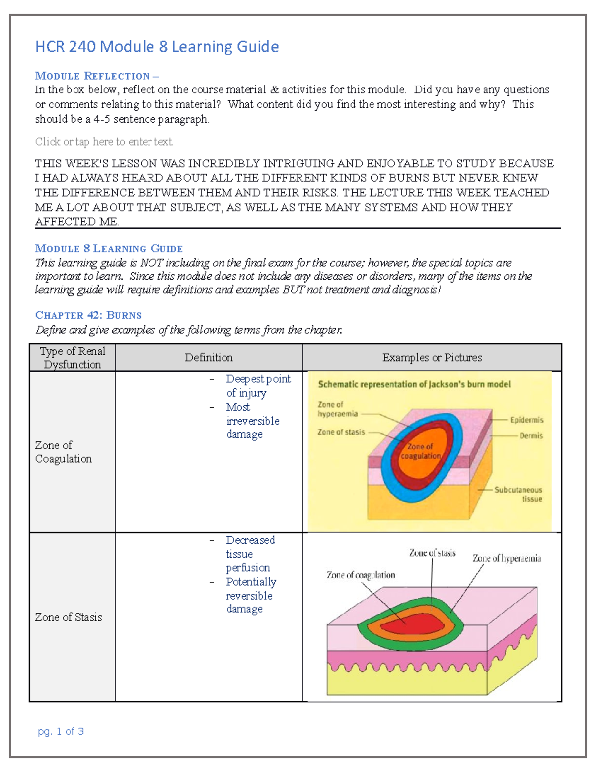 HCR 240 Module 8 Learning Reflections and Key Concepts Guide - Studocu