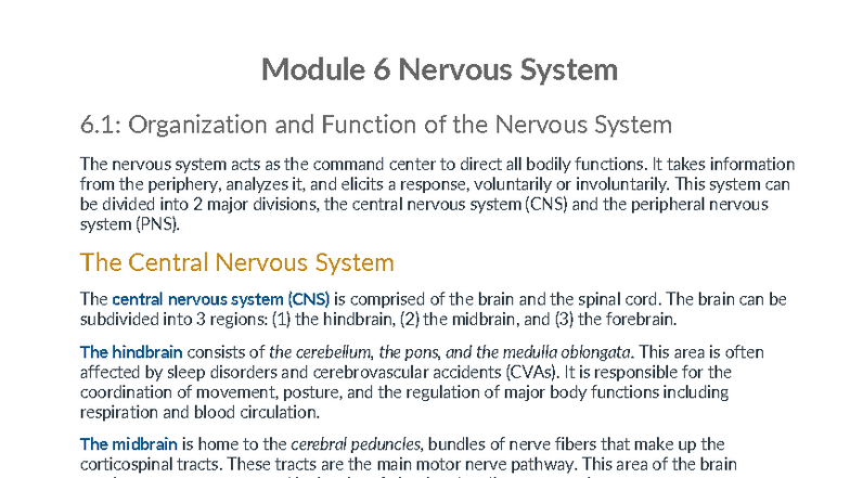 Module 6: Nervous System - Organization & Function Overview - Studocu
