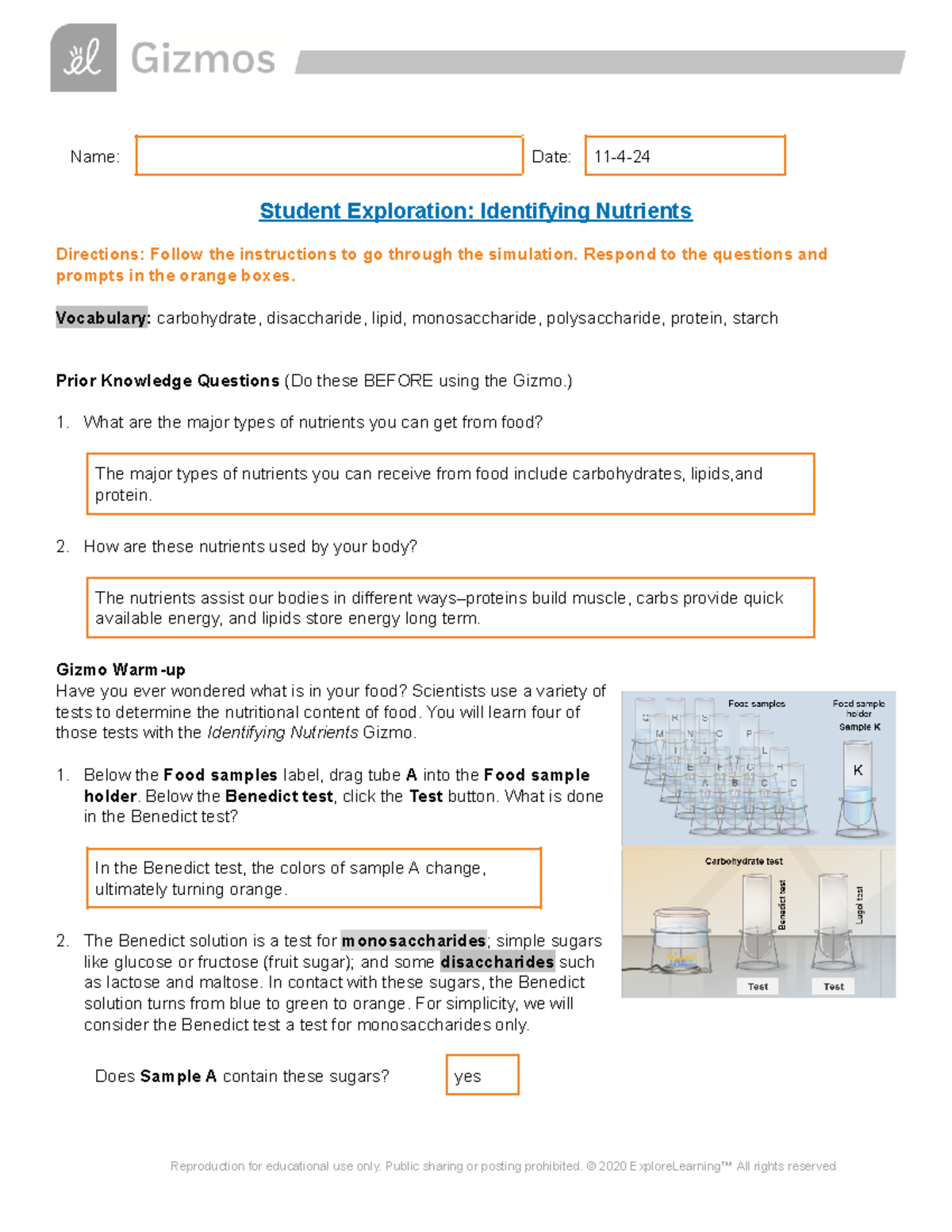 Identifying Nutrients Using Gizmo: Nutritional Testing Overview - Studocu