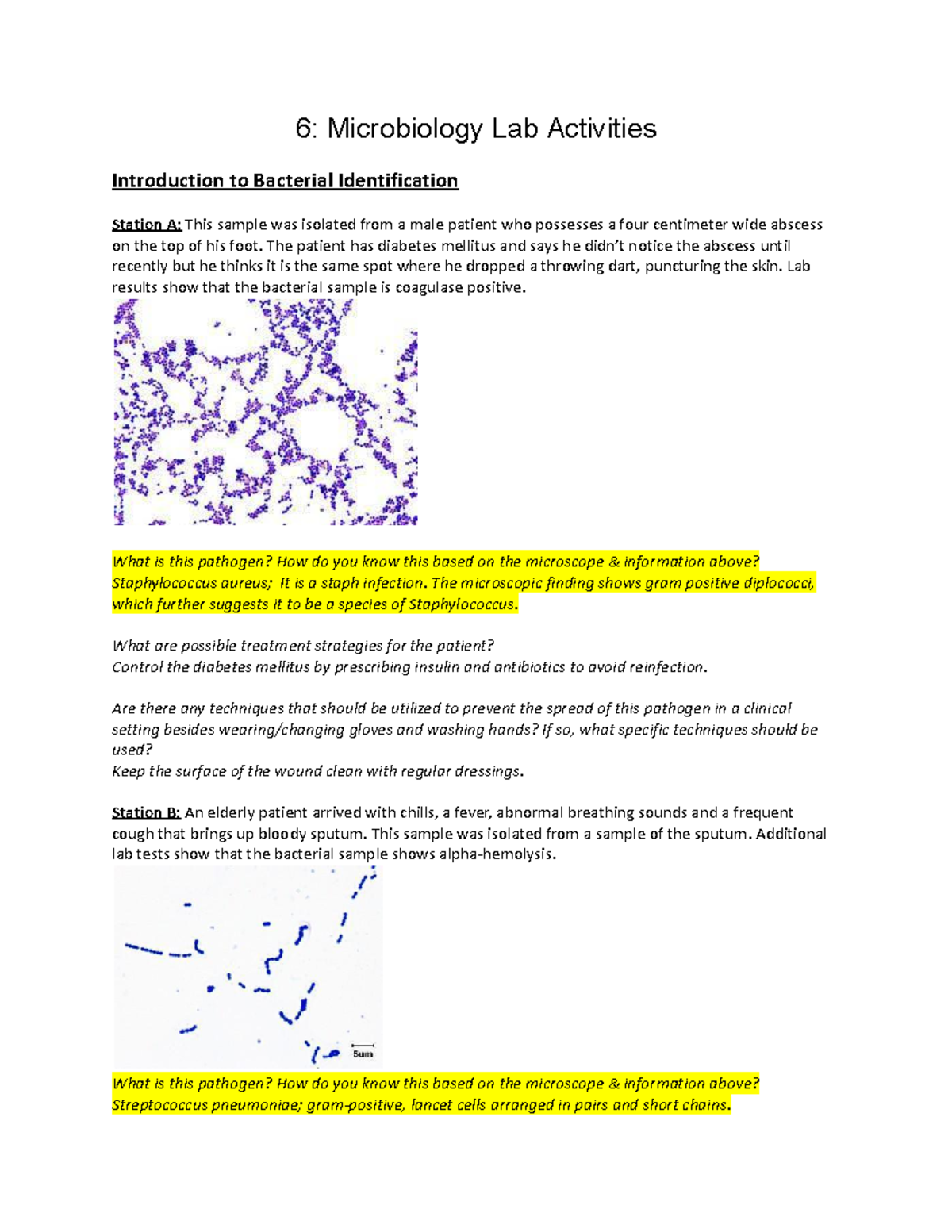 Week 6 Lab Assignment - 6: Microbiology Lab Activities Introduction to ...
