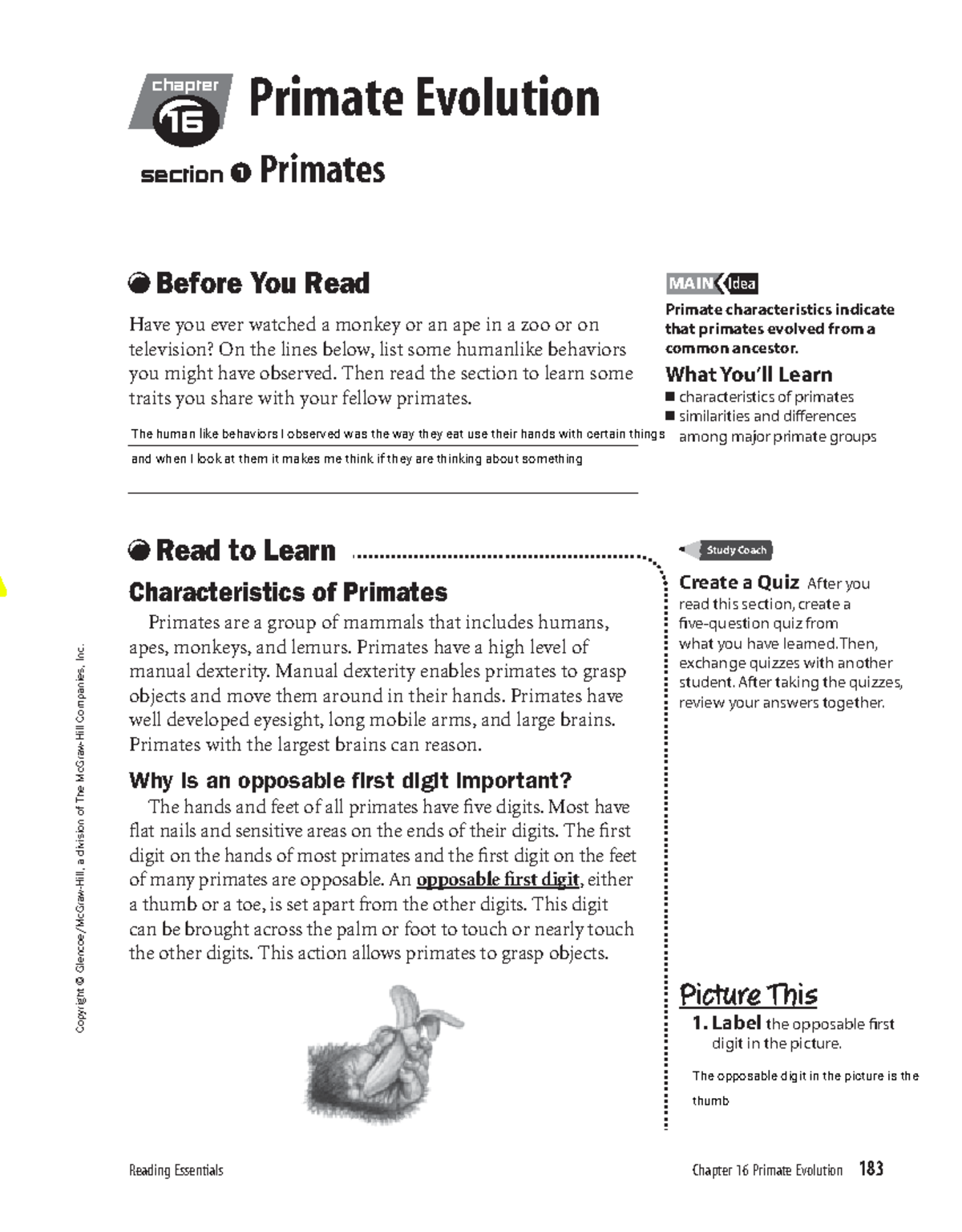 Primate Evolution Reading Essentials - Chapter 16 Overview - Studocu