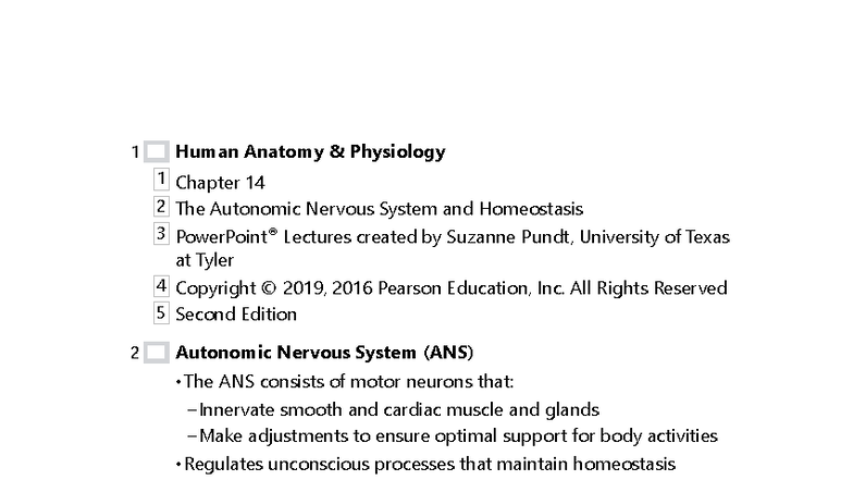 Anatomy & Physiology 1: Chapter 14 - Autonomic Nervous System Lecture ...