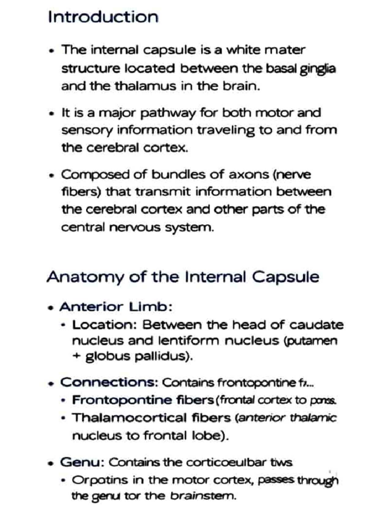 Internal Capsule Anatomy: Parts, Blood Supply & Functions (MBBS) - Studocu
