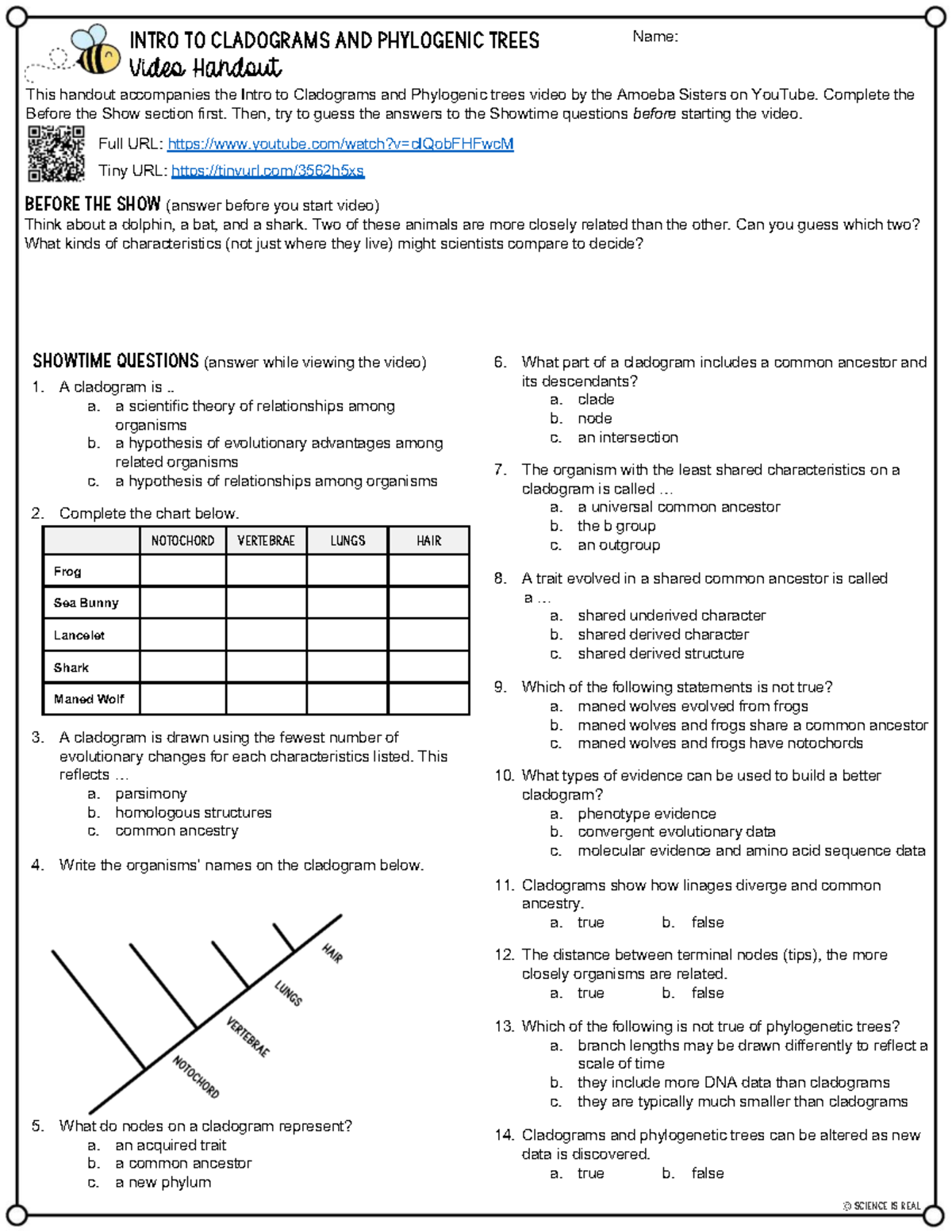 Intro to Cladograms & Phylogenetic Trees - Video Handout - Studocu