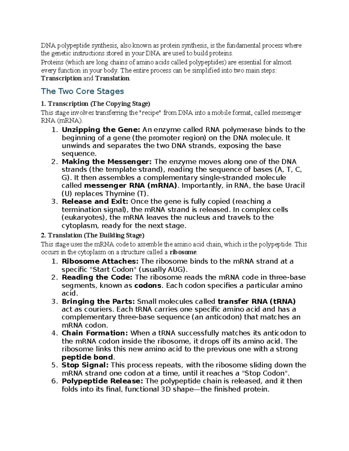 Polypeptide Synthesis: Understanding DNA to Protein Process - Studocu