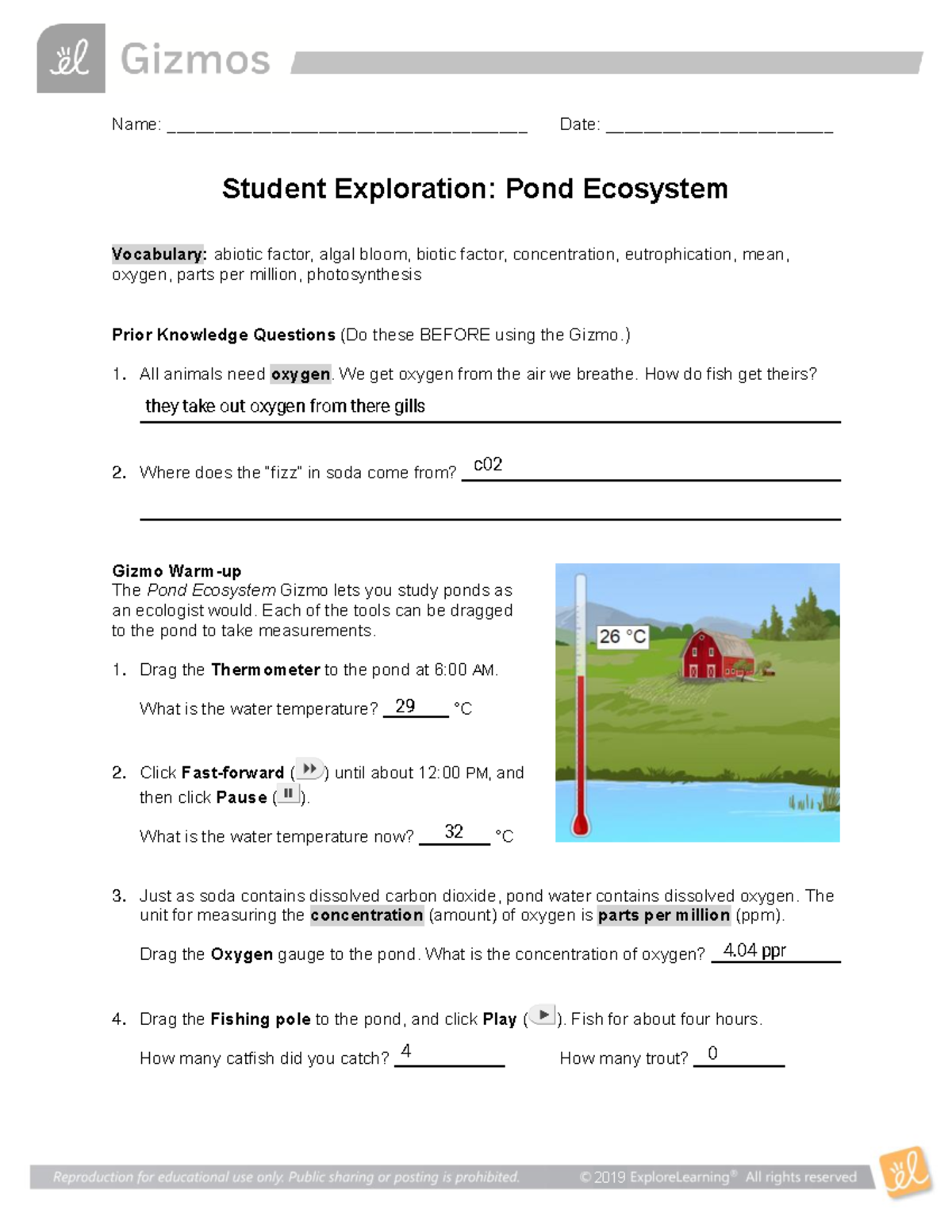 Pond Ecosystem SE: Exploring Oxygen Levels & Eutrophication - Studocu