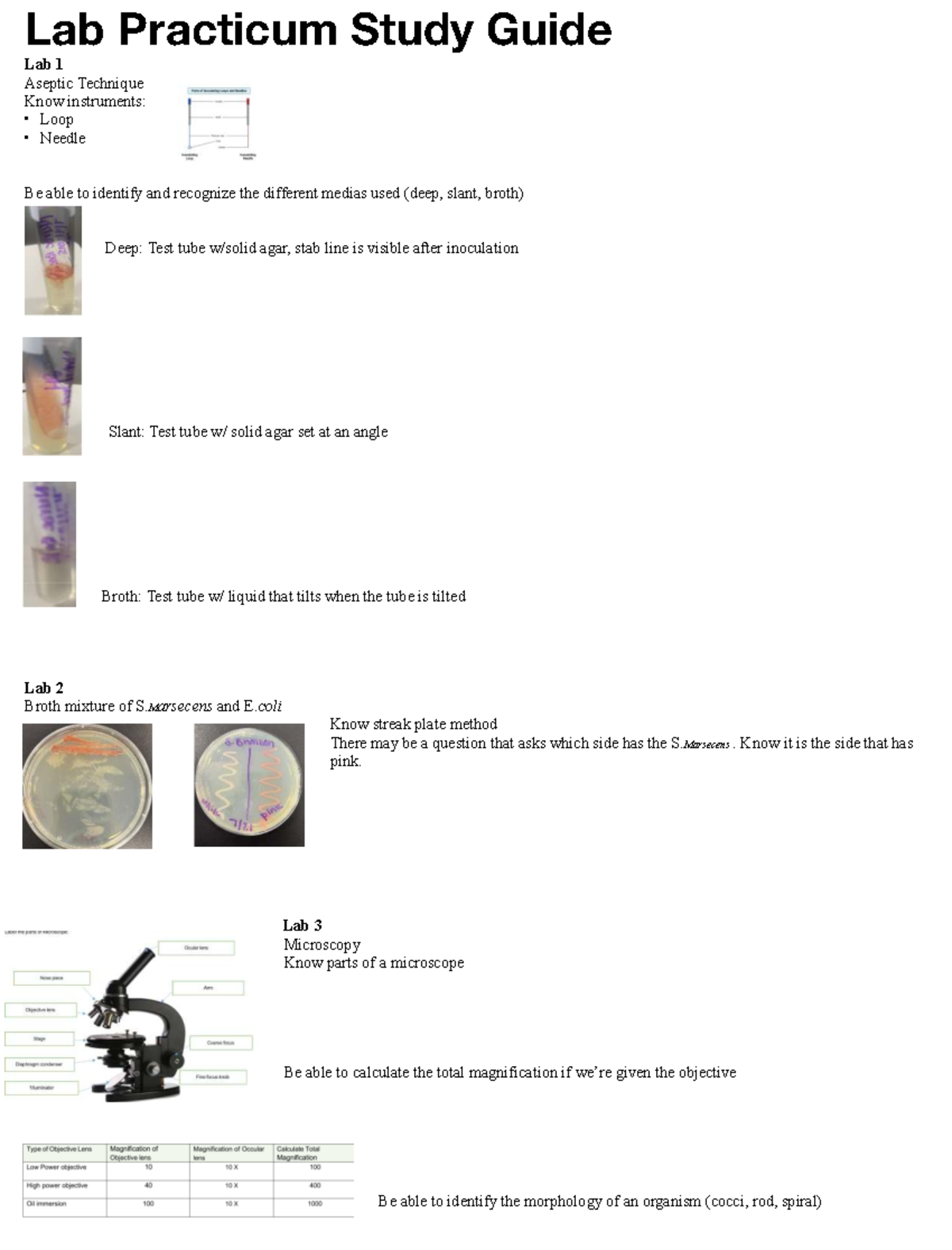 Lab Practicum Study Guide: Aseptic Techniques & Microscopy - Studocu