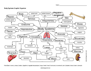 Lymphatic and Immune System Assessment Questions (BIOL 101) - Studocu