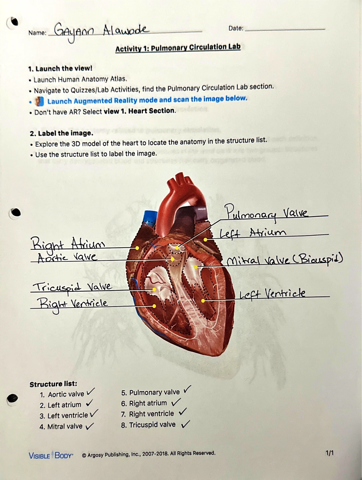 Unit 1 Homework - Unit 1: Medical Terminology Using the terms below ...