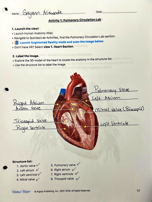 Unit 1 Medical Terminology Cardiovascular System - Cardiology Prefix ...