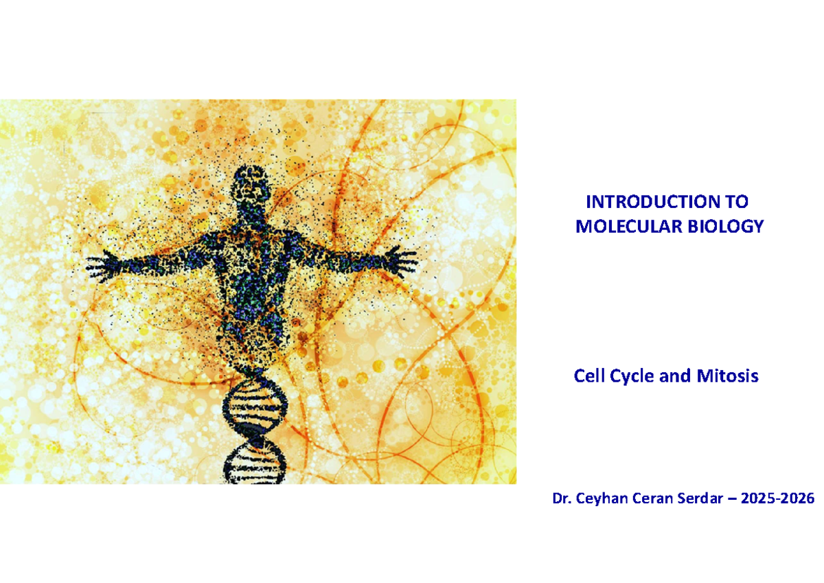 Introduction to Molecular Biology: Cell Cycle and Mitosis - Studocu