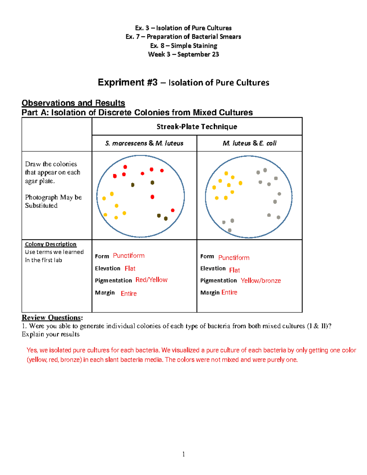 Lab Report: Isolation of Pure Cultures, Bacterial Smears, and Staining ...