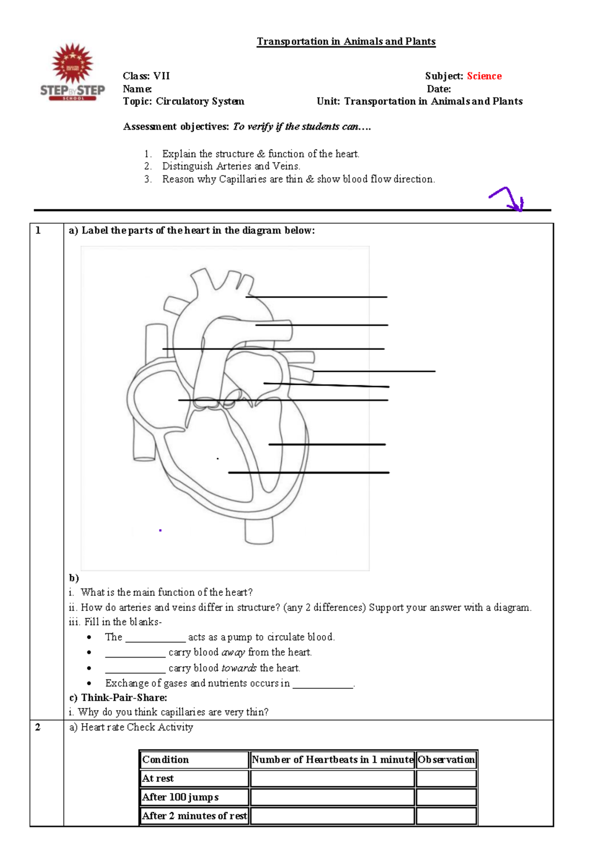 Transportation in Animals and Plants: Circulatory System Worksheet ...