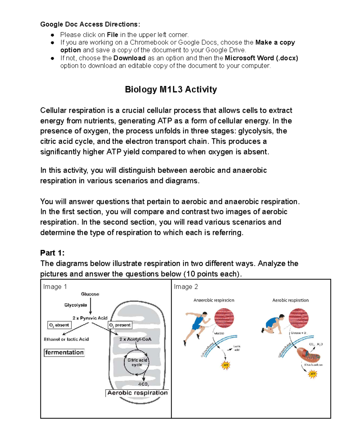 Biology M1L3 Activity: Aerobic vs Anaerobic Respiration Exploration ...
