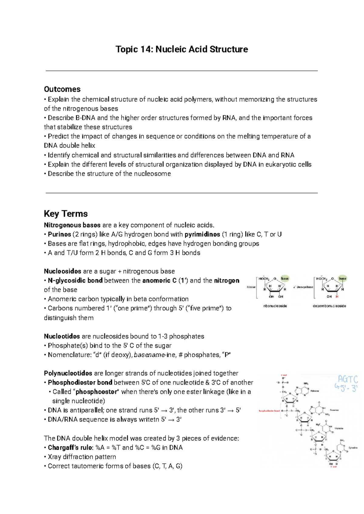 Biochem 2280: Nucleic Acid Structure and Stability Insights - Studocu