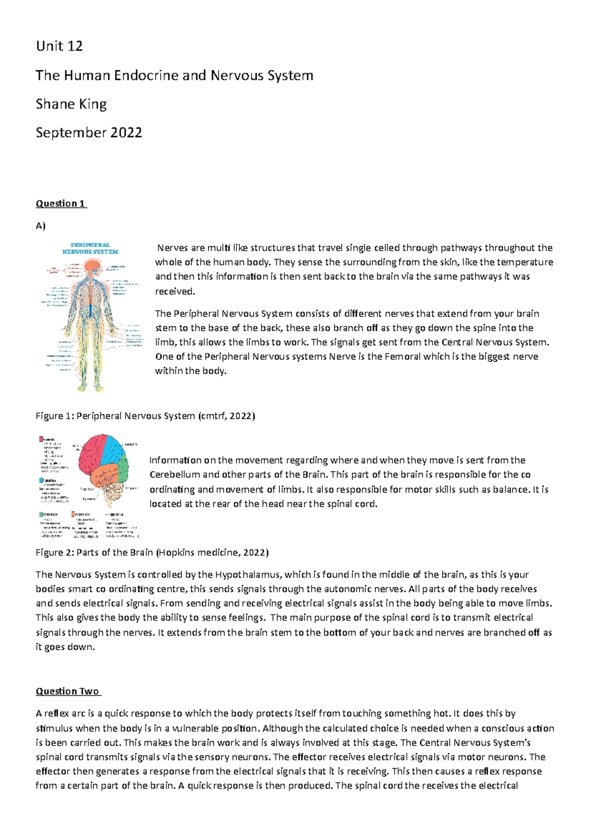 Unit 12: Resubmission on Endocrine & Nervous Systems Overview - Studocu
