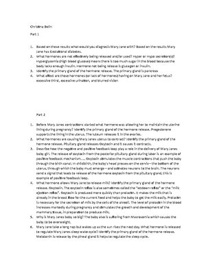 Unit 1 Medical Terminology Cardiovascular System - Within the textbox ...