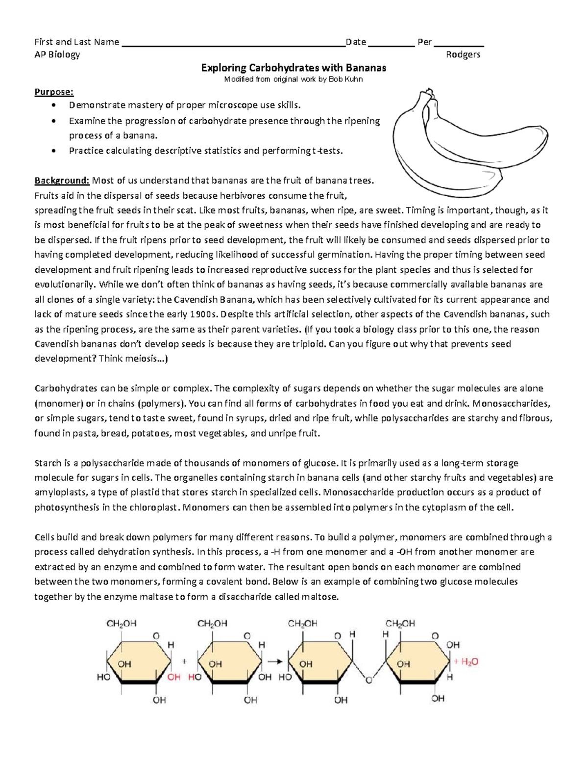 AP Biology 5 - Exploring Carbohydrates in Bananas Lab Report - Studocu