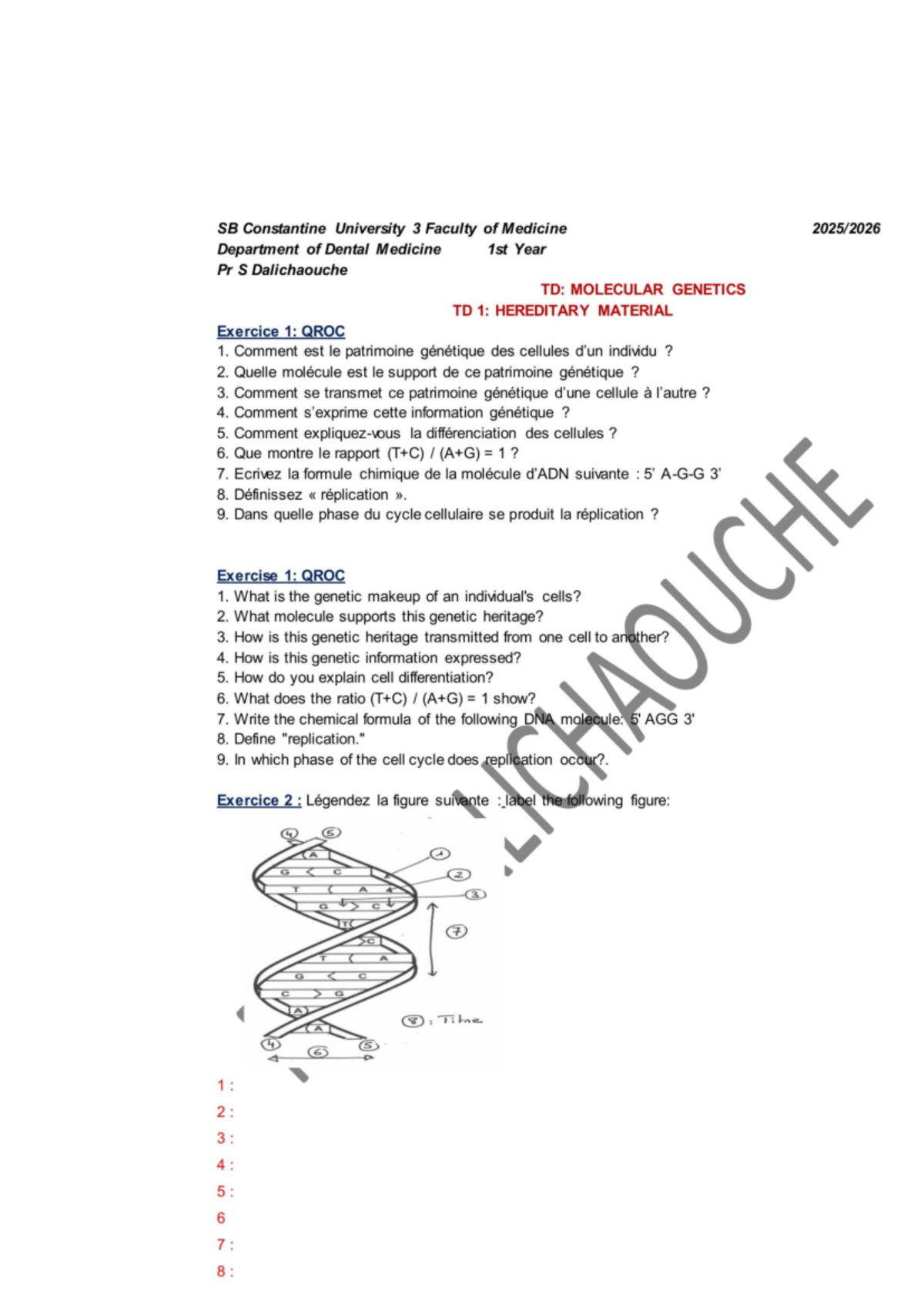 SB Constantine University 3 Faculty of Medicine TD: MOLECULAR GENETICS ...