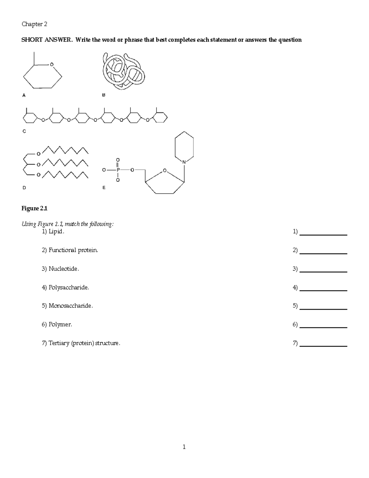 Chapter 2 Biology Test Bank: Questions and Answers Guide - Studocu