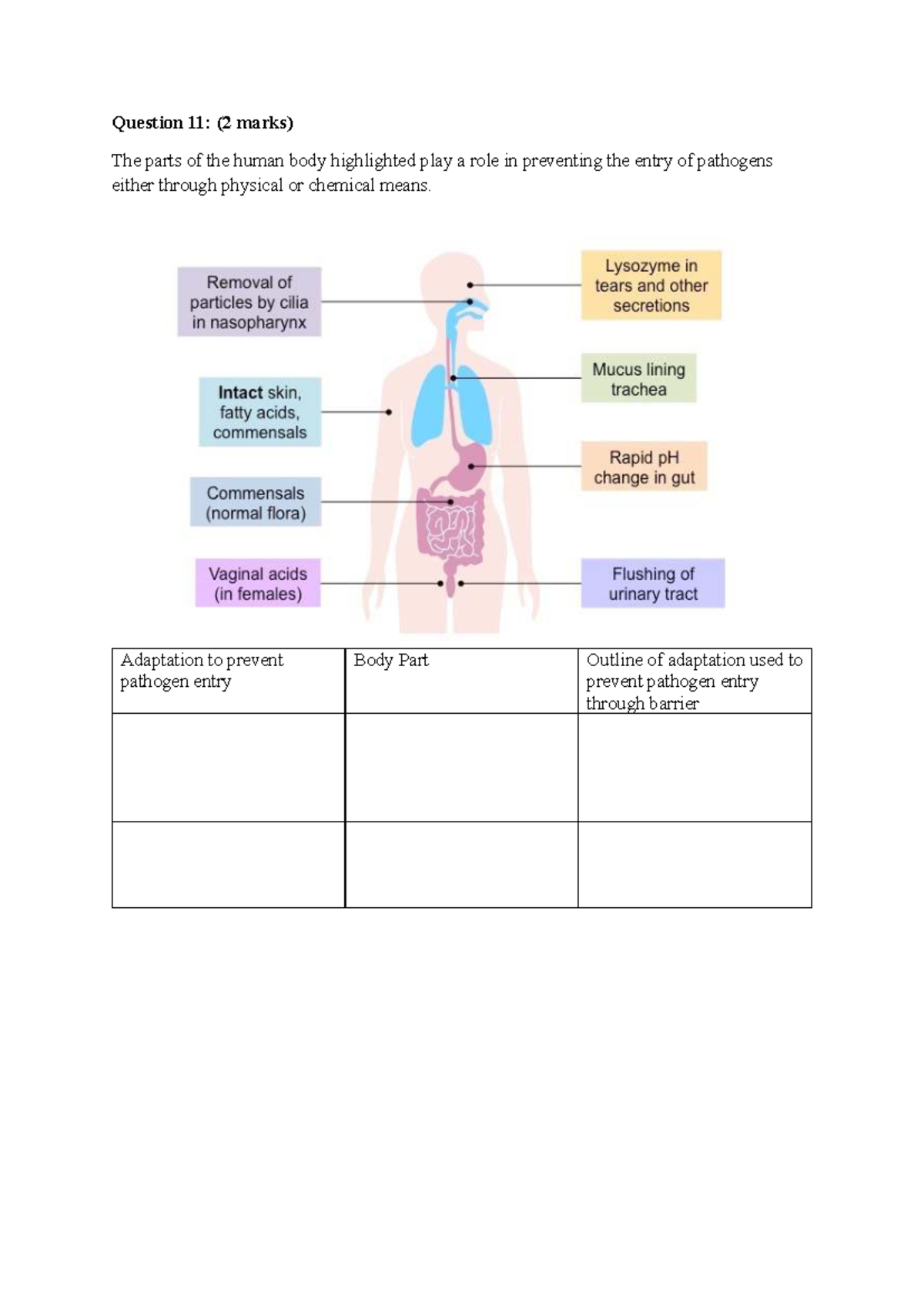 Mod 7 Short Answer Exam: Pathogens, Inflammation & Vaccines - Studocu