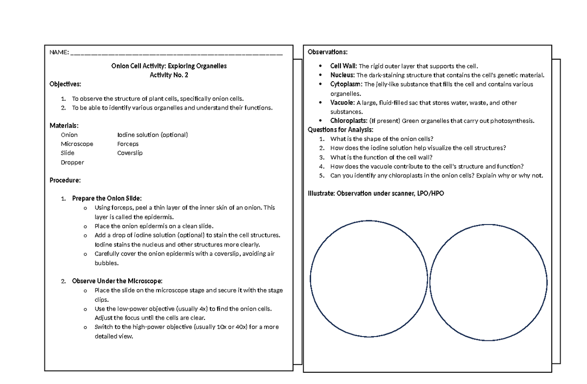 Onion Cell Activity: Exploring Organelles & Microscope Parts (BIO 101 ...