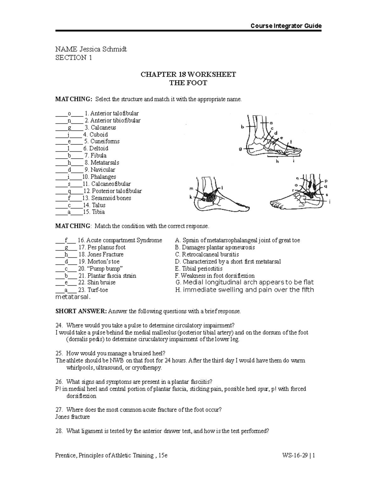 Prentice 15e Worksheets for Chapters 18, 19, 20, 21 & 25 - Studocu