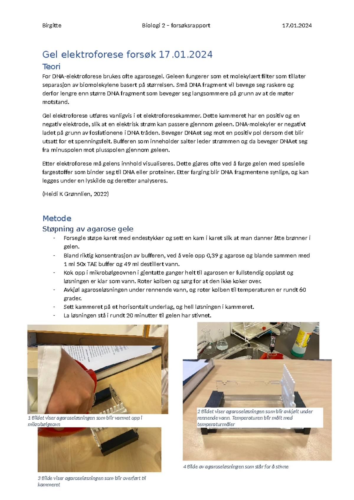 MAL FOR RAPPORTSKRIVING - Øvelse 1 - Studocu