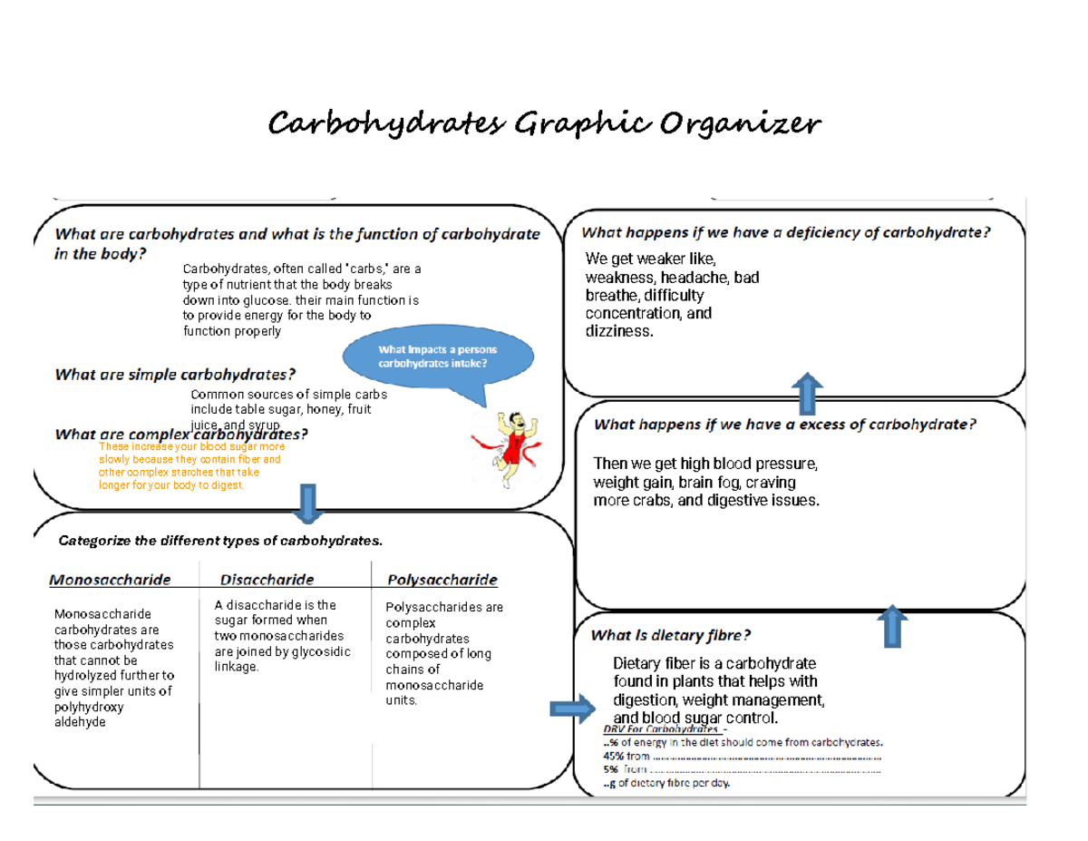 Carbohydrates graphic organizer - Carbohydrates Graphic Organizer ...