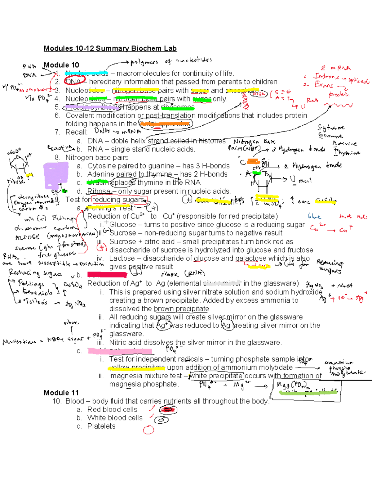 Modules 10-12 Summary of Biochemistry Lab (Biochem Lab) - Studocu