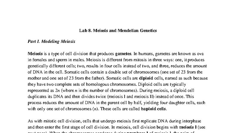 Lab 8: Modeling Meiosis & Mendelian Genetics Worksheet - Studocu