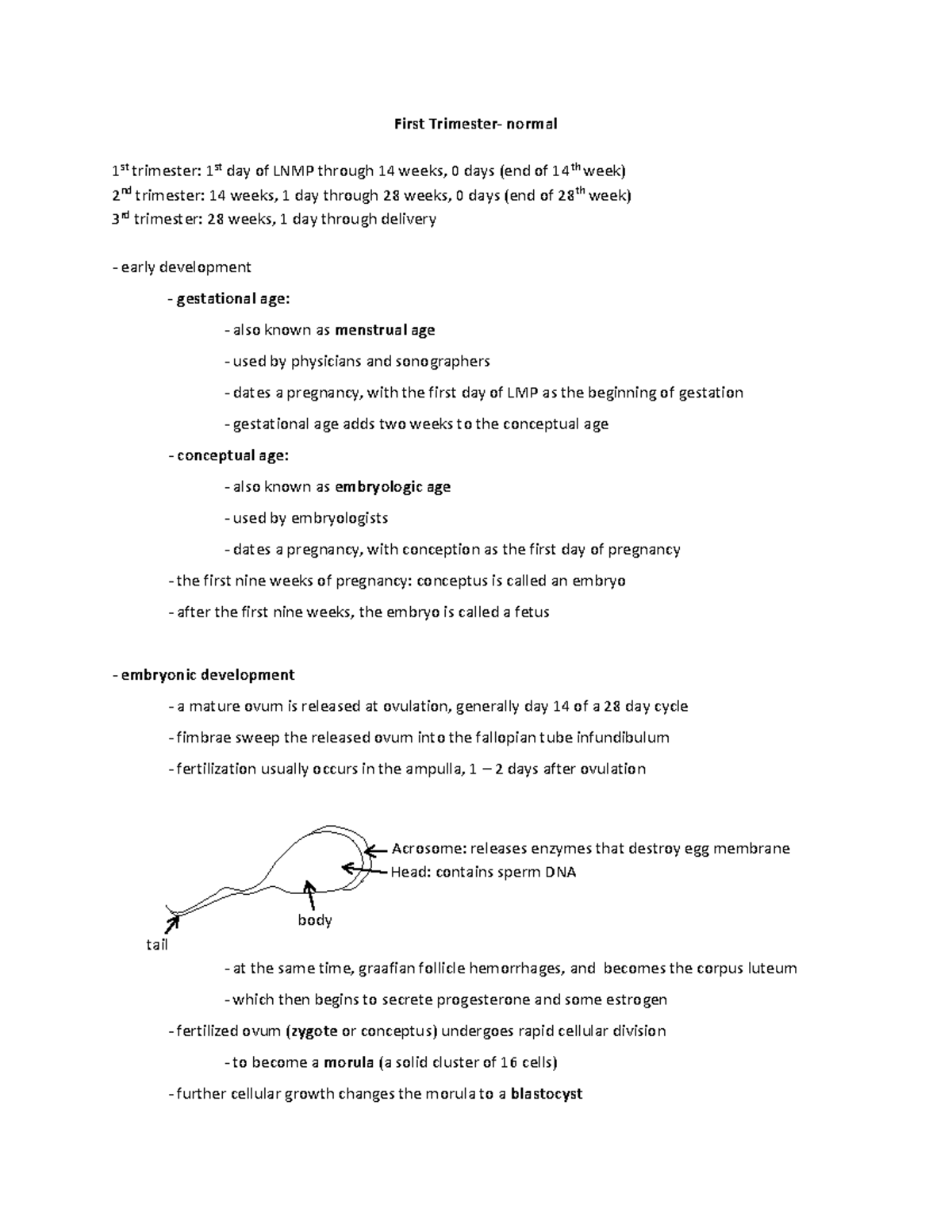 First Trimester Development Overview & Assessment Guidelines (MED 101 ...