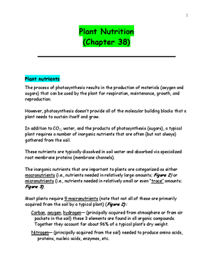 Potato Osmosis Lab Report Draft - Osmosis in Potatoes Stored at ...