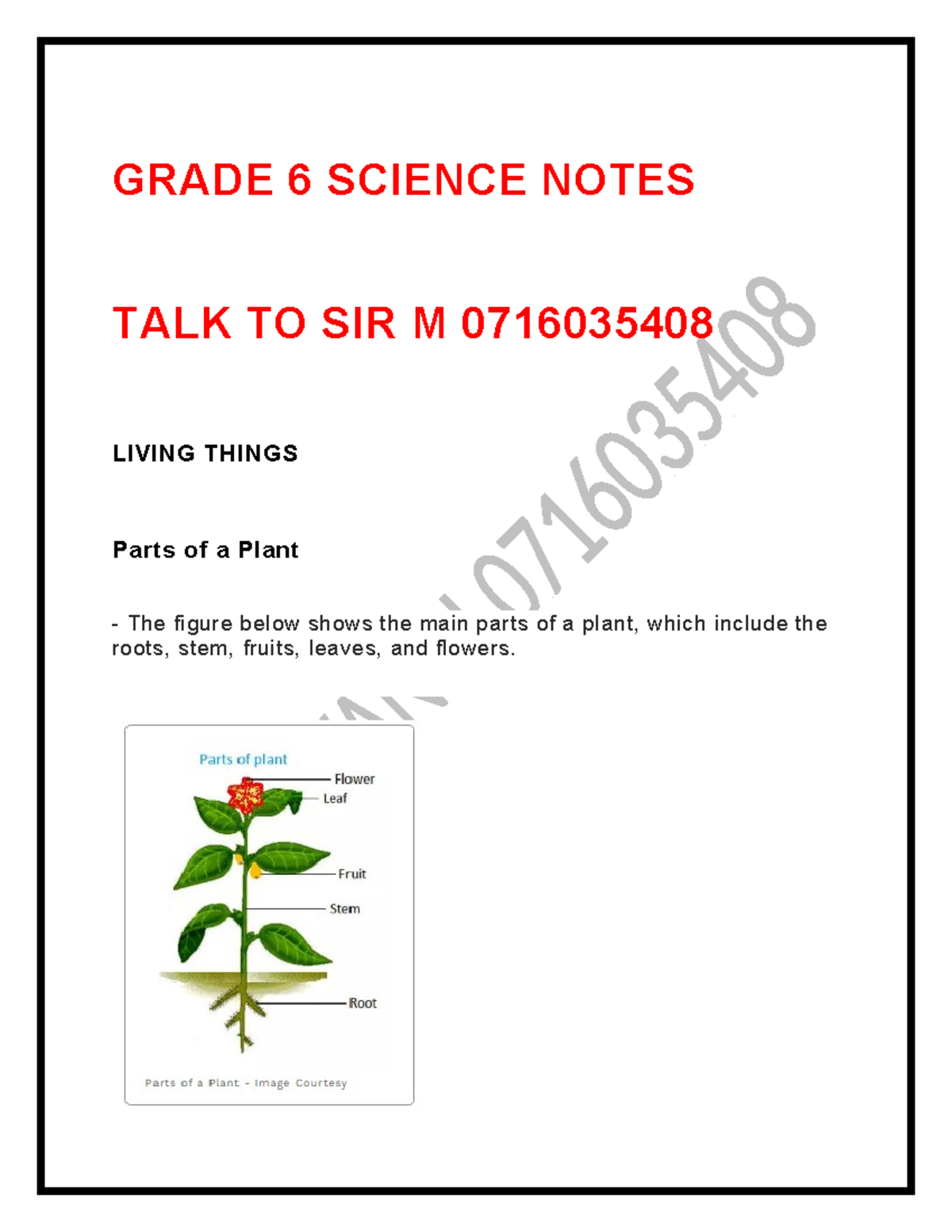 Grade 6 Science: Plant & Insect Notes for Exam Preparation - Studocu