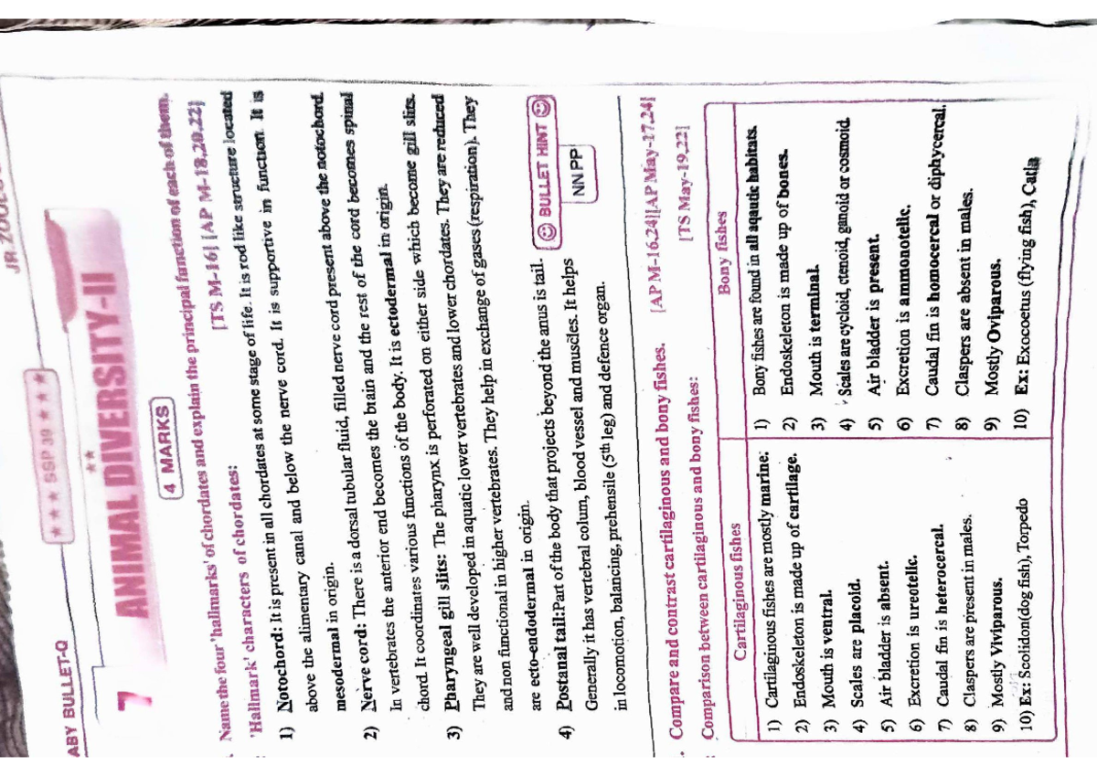 JR SSP A 7 Animal 4 Marks: Chordates & Fish Comparison Notes - Studocu