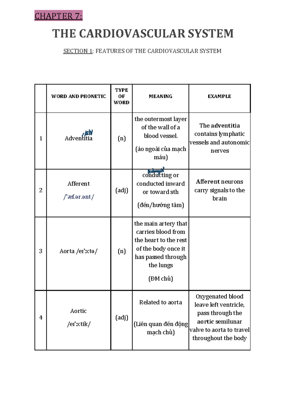 CHAPTER 7: CARDIOVASCULAR SYSTEM VOCABULARY SECTION 1 - Studocu