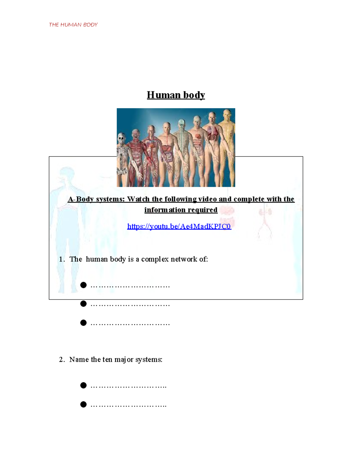 Human Body Systems Overview - Inglés 1 Study Guide - Studocu