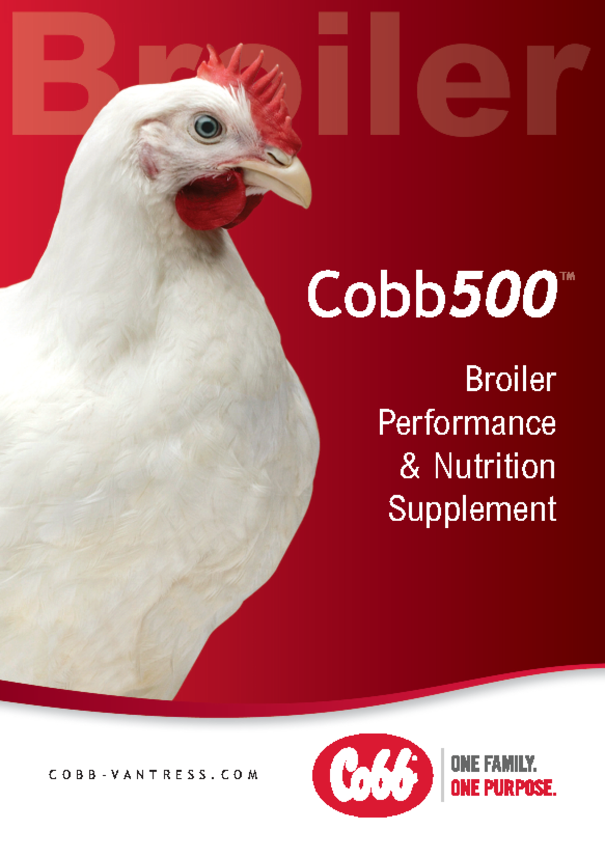 COBB 500 Broiler Management Guide and Nutrition Supplement 2021 - Studocu