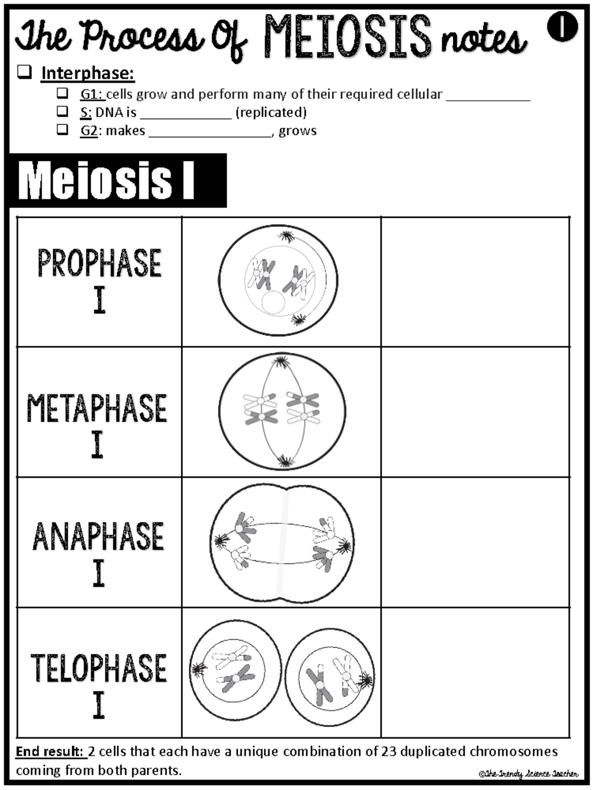 The Process of Meiosis Notes - The Process Of meiosis notes Meiosis I ...