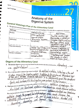 Lab 2 Sensations and Reflexes - Lab 2: Sensations and Reflexes (adapted ...