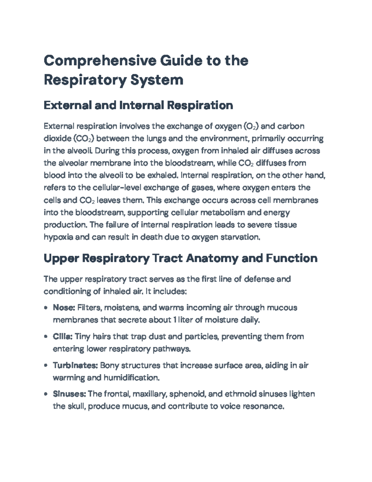 Comprehensive Overview of the Respiratory System: Anatomy & Pathologies ...
