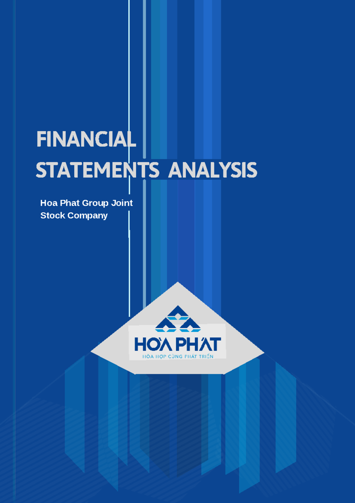 Group Assignment: Financial Statement Analysis of Hoa Phat - FIN202 ...
