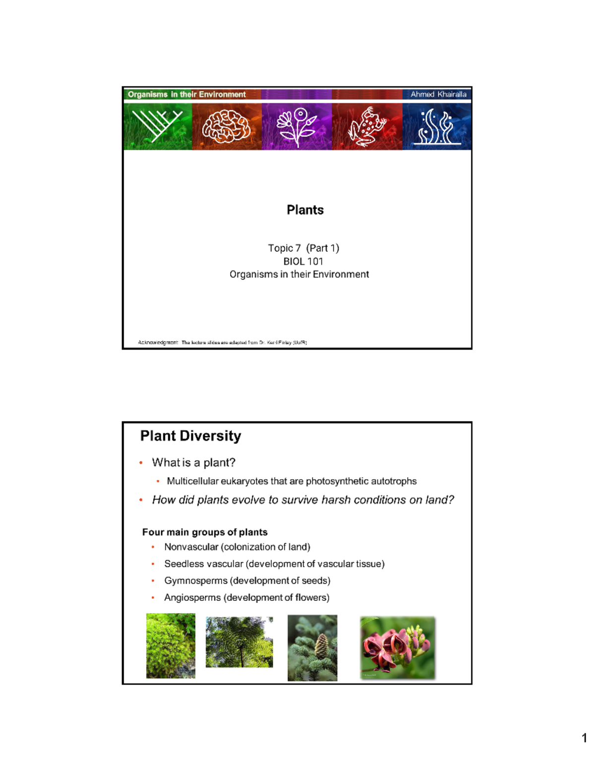Topic 7 Lecture Notes (Part 1) - PowerPoint Presentation - Organisms in ...